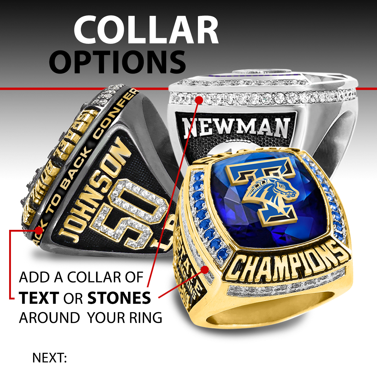 RING DESIGN OPTIONS - SMi Awards